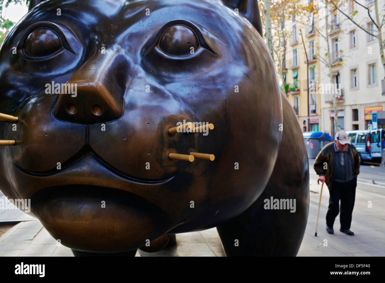 Raval cat sculpture hi-res stock photography and images - Alamy