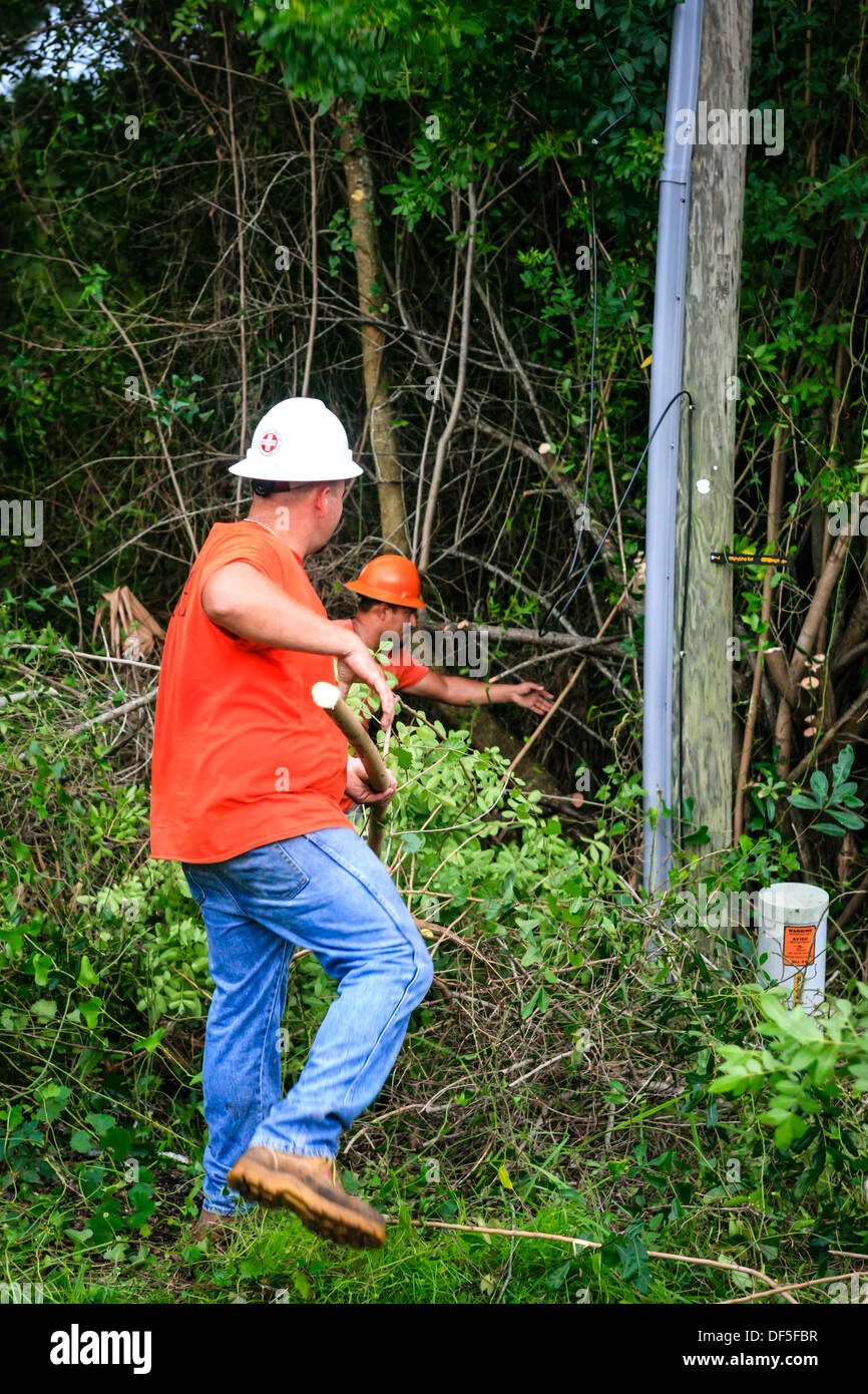 Unskilled workers hi-res stock photography and images - Alamy