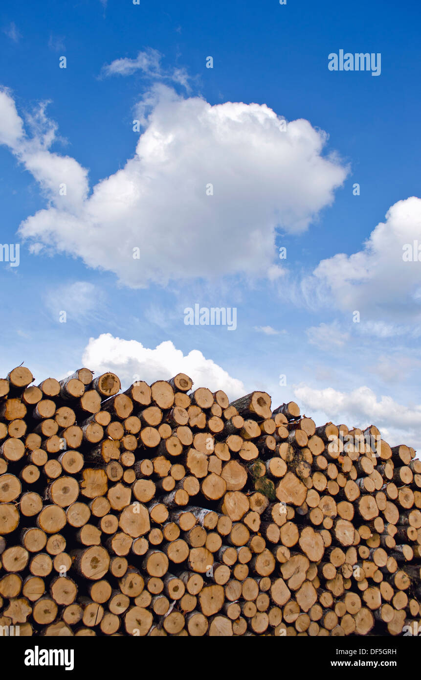 Industrial timber hi-res stock photography and images - Alamy