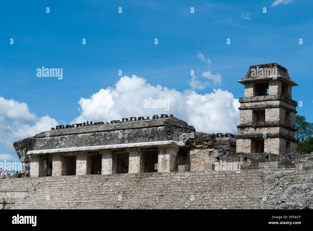 Ancient Mayan temples in the ruined city of Palenque Stock Photo - Alamy