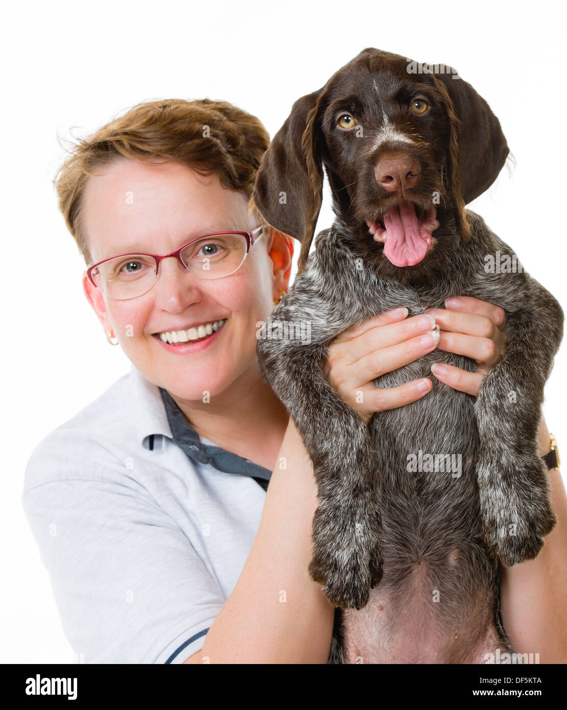 German wirehaired pointer hi-res stock photography and images - Alamy