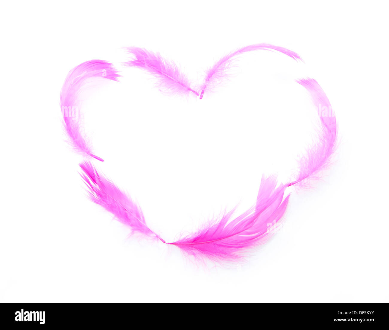 Feathers hi-res stock photography and images - Alamy