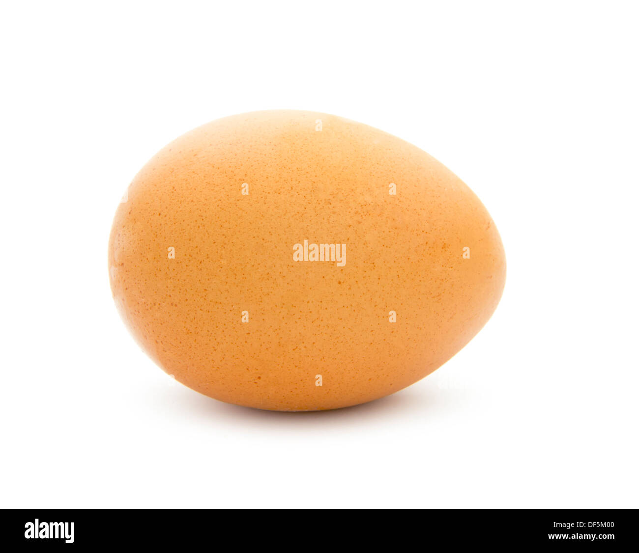 single egg isolated on white background Stock Photo - Alamy