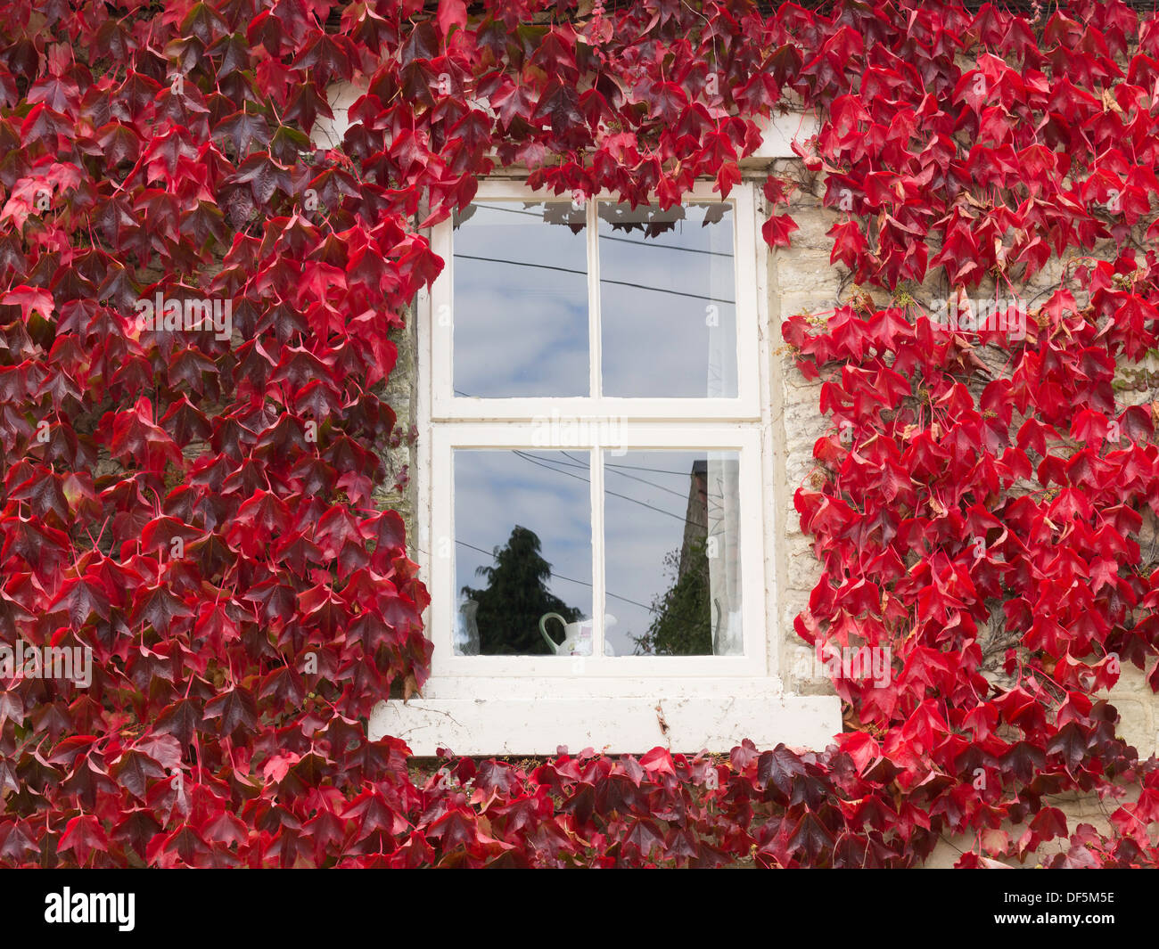 A four pane window of a stone built pub surrounded by autumn red ...