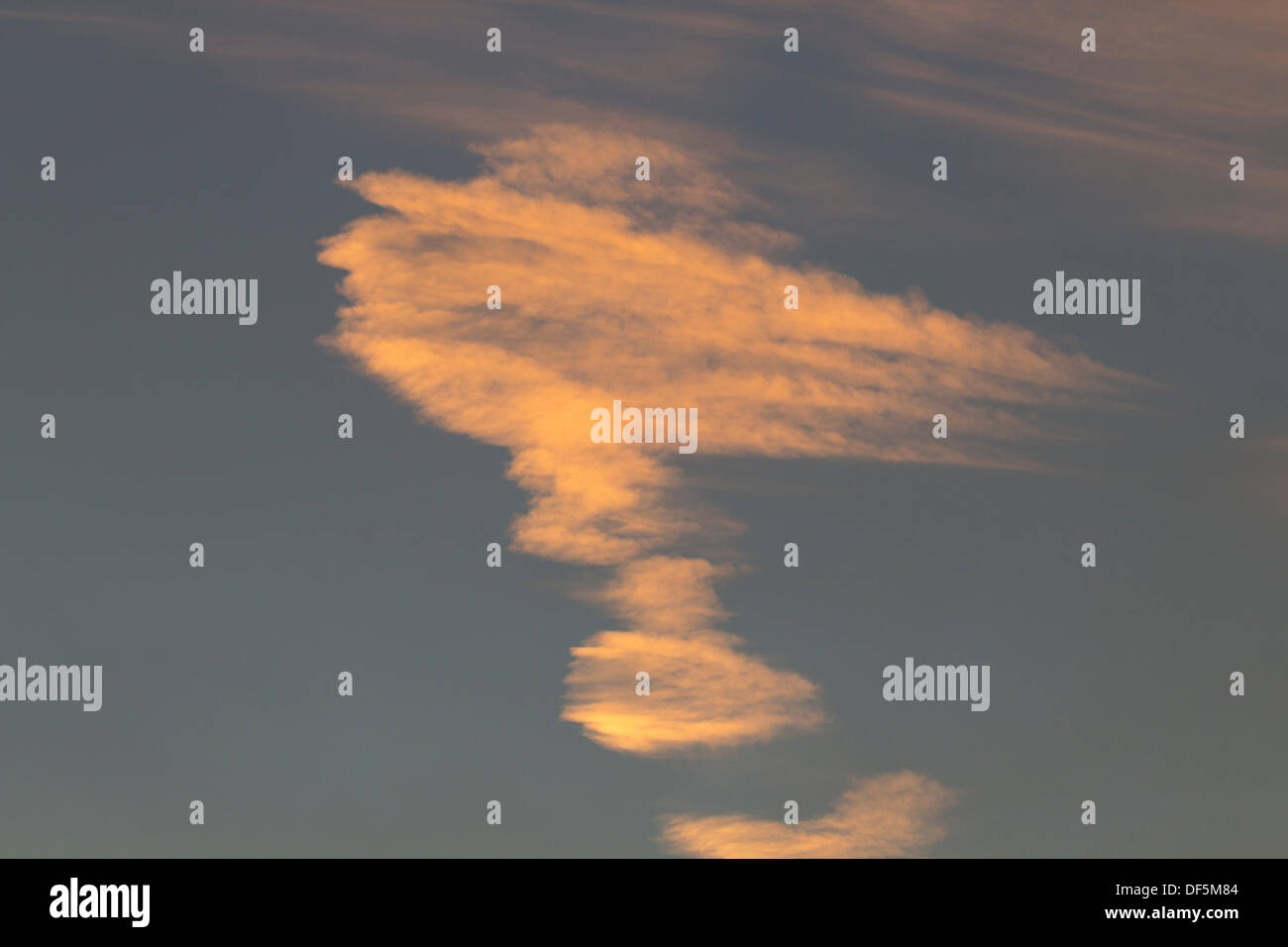 Shaped face hi-res stock photography and images - Alamy