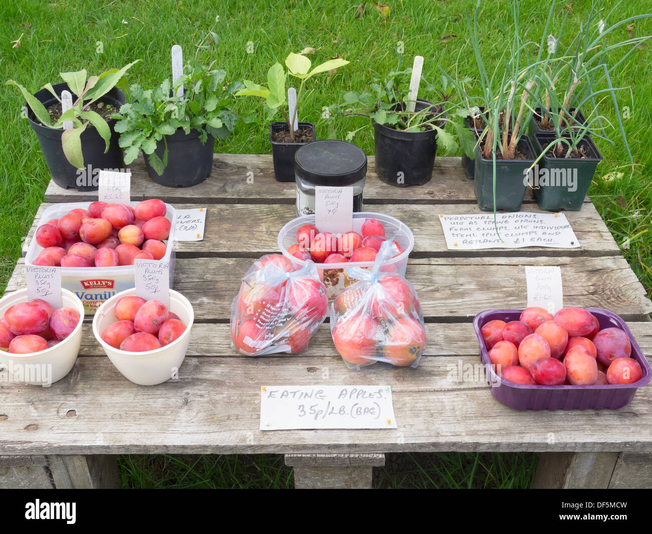 Surplus garden produce for sale on a small table outside a house in a ...