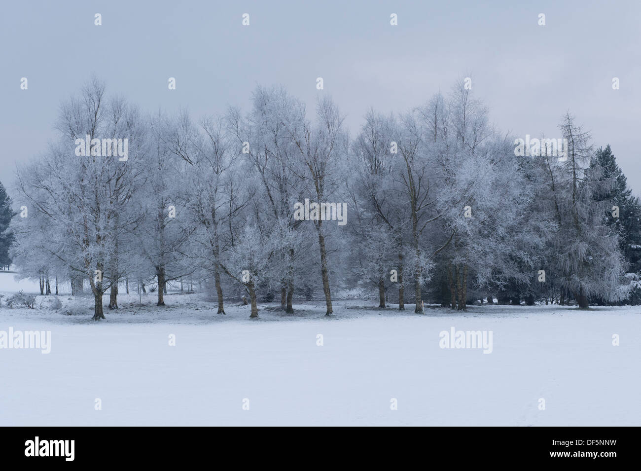 Winter scene on golf course hi-res stock photography and images - Alamy
