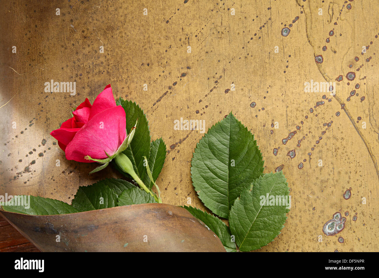 Abstract flower design with rose on brazen background Stock Photo - Alamy