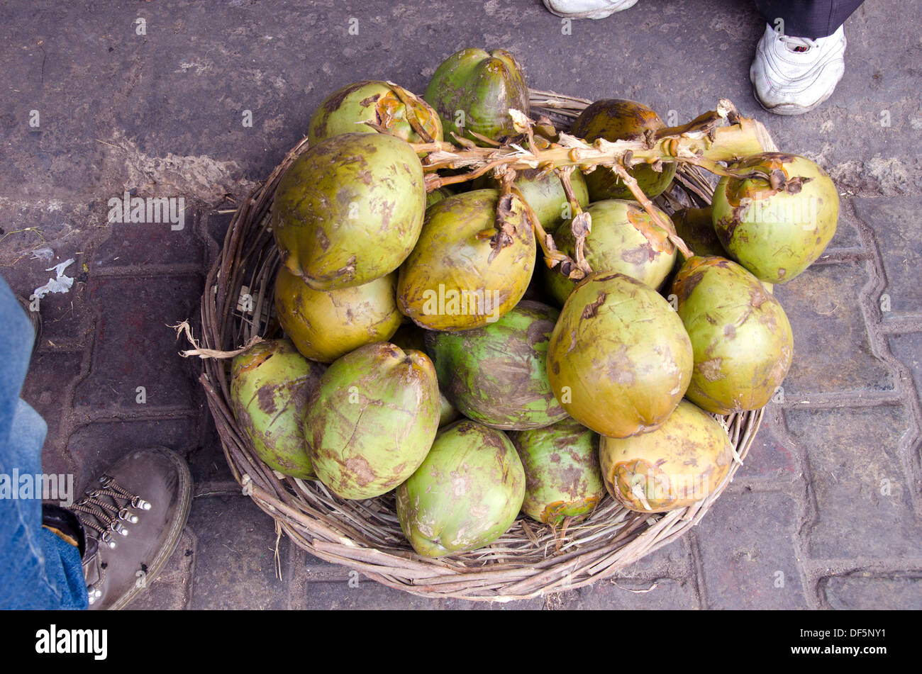 fresh coconuts for milk in asian street market , Delhi,india Stock ...