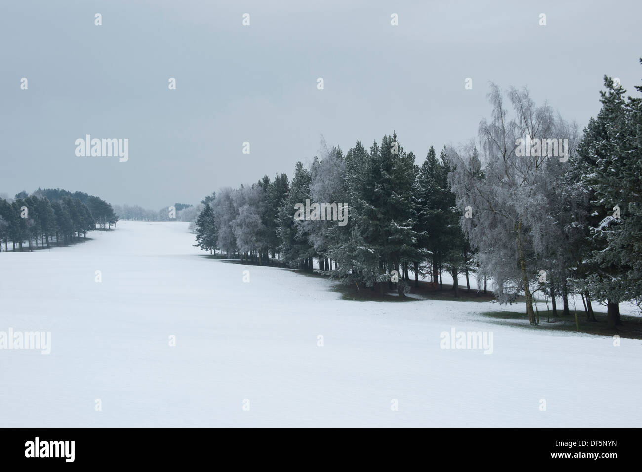 Winter scene on golf course hi-res stock photography and images - Alamy