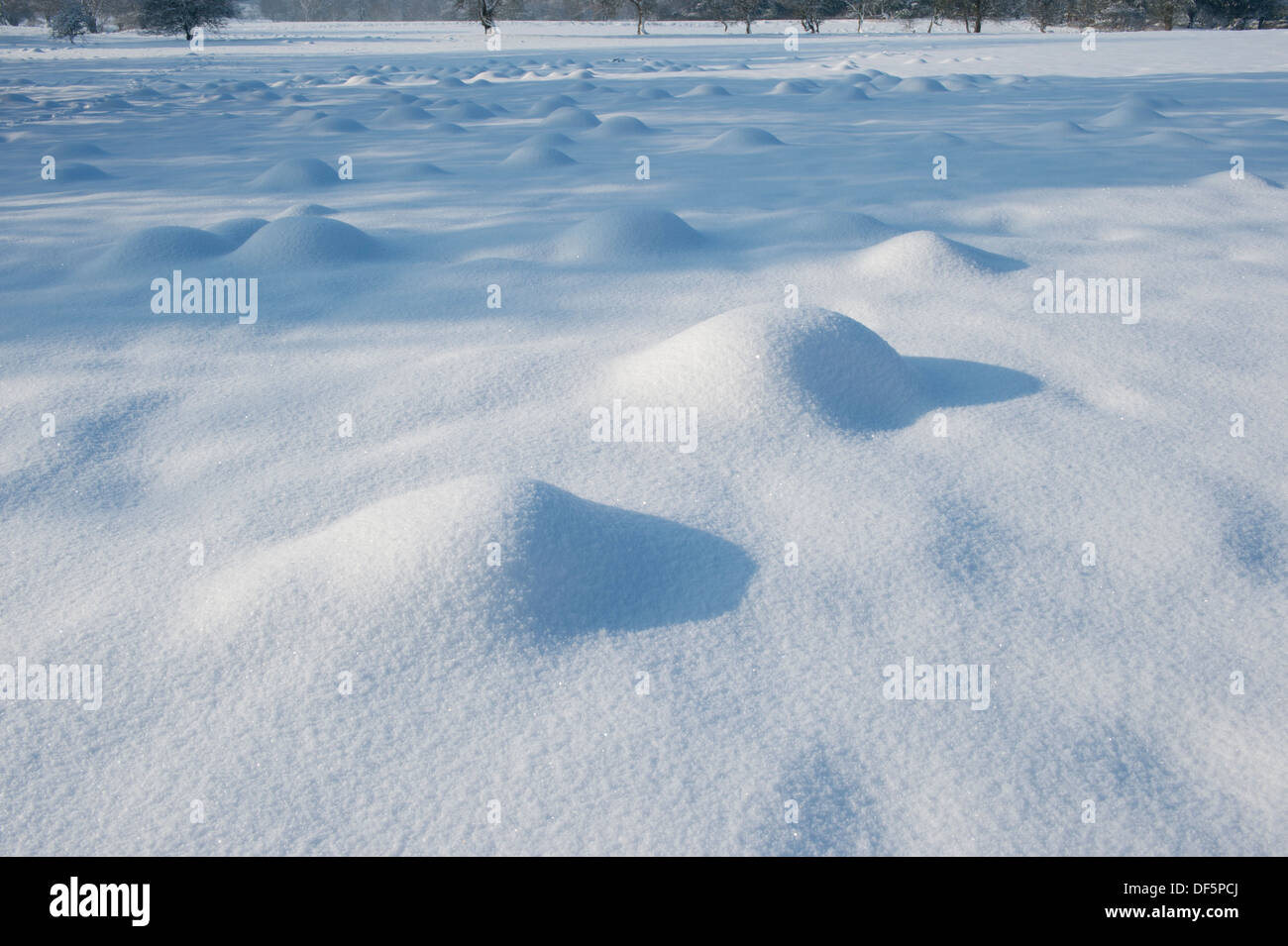 Bumpy surface hi-res stock photography and images - Alamy