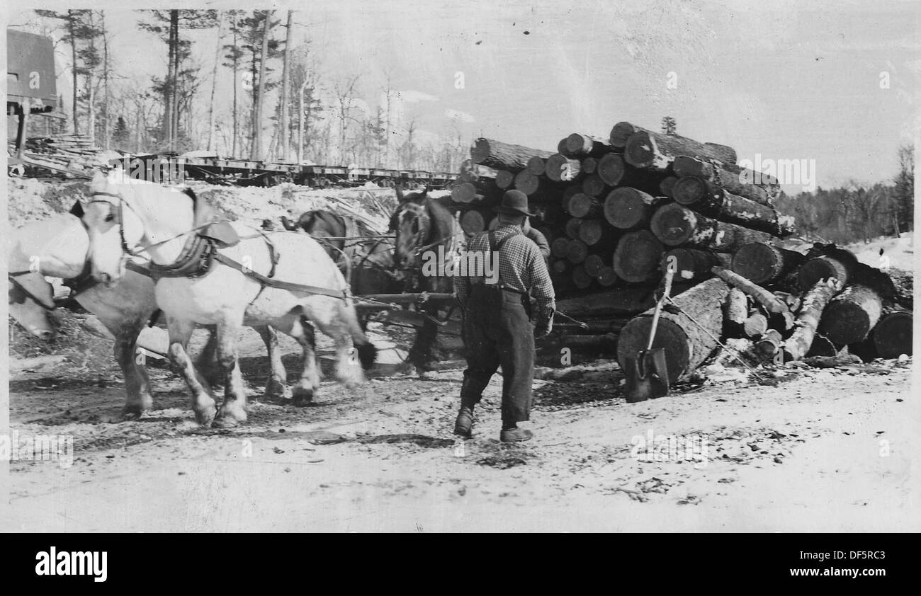 Loaded sledge hi-res stock photography and images - Alamy