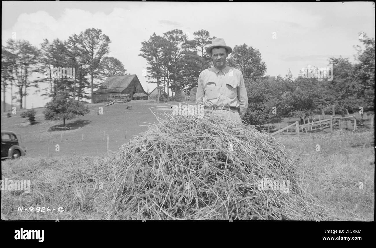 Hunter, W.W., with clover 279935 Stock Photo - Alamy