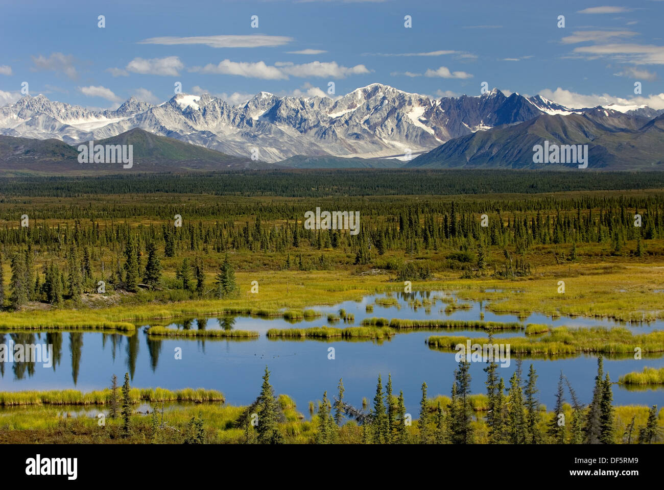 Tundra muskeg hi-res stock photography and images - Alamy