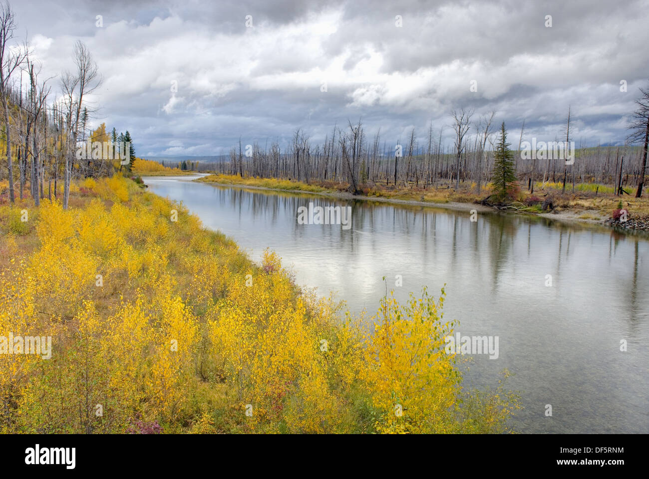 The flathead river valley hi-res stock photography and images - Alamy
