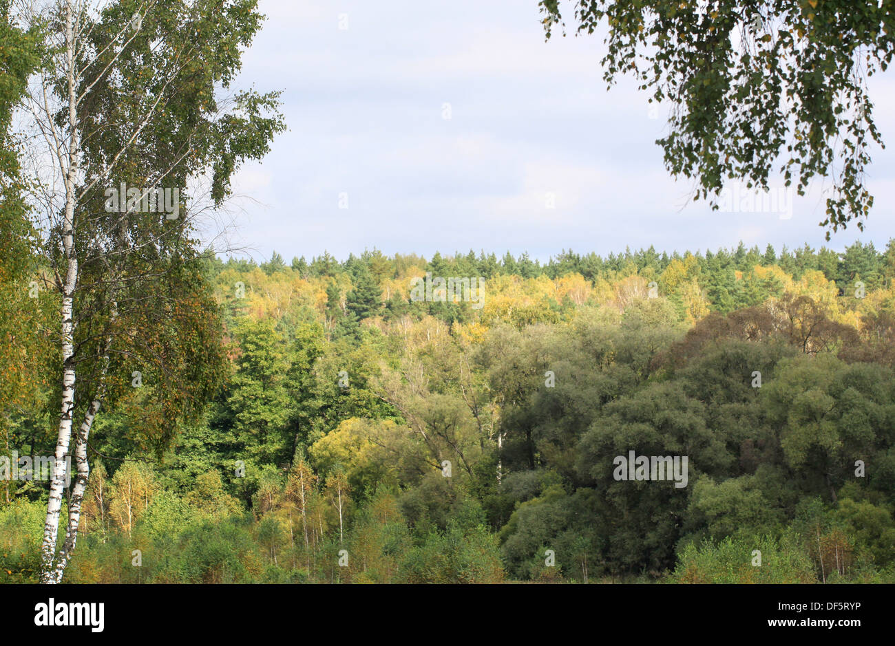 Prairie yellow green hi-res stock photography and images - Alamy