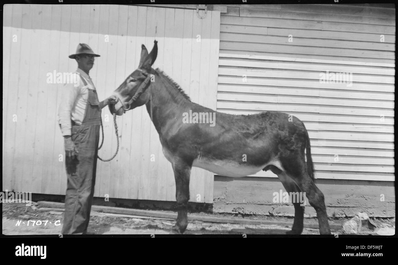 M l king Black and White Stock Photos & Images - Alamy