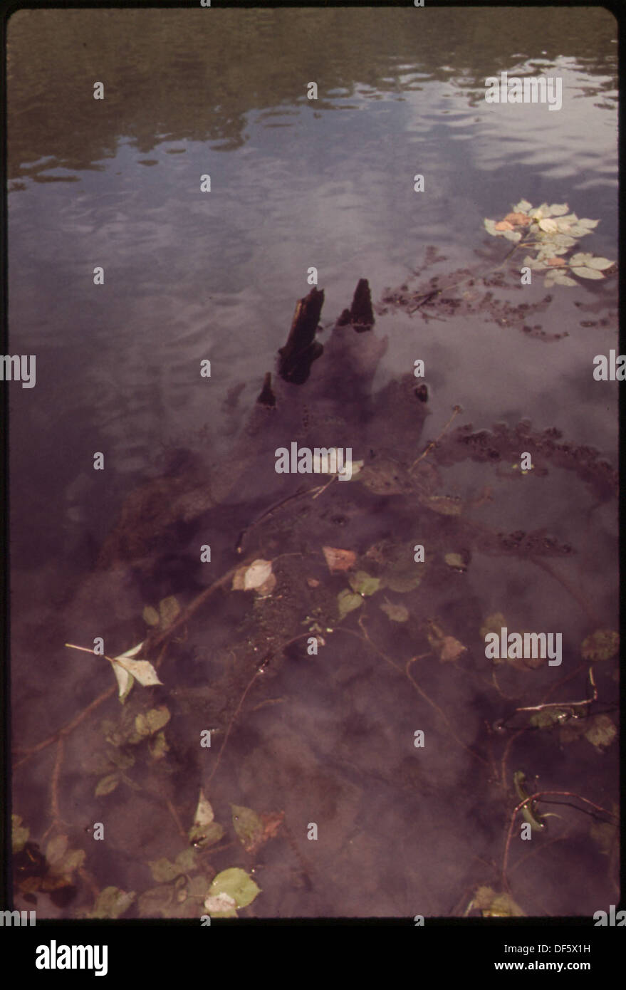 LAKE IN THE HA HA TONKA REGION, ONE OF TWO FORMED BY GUNTER'S BIG ...