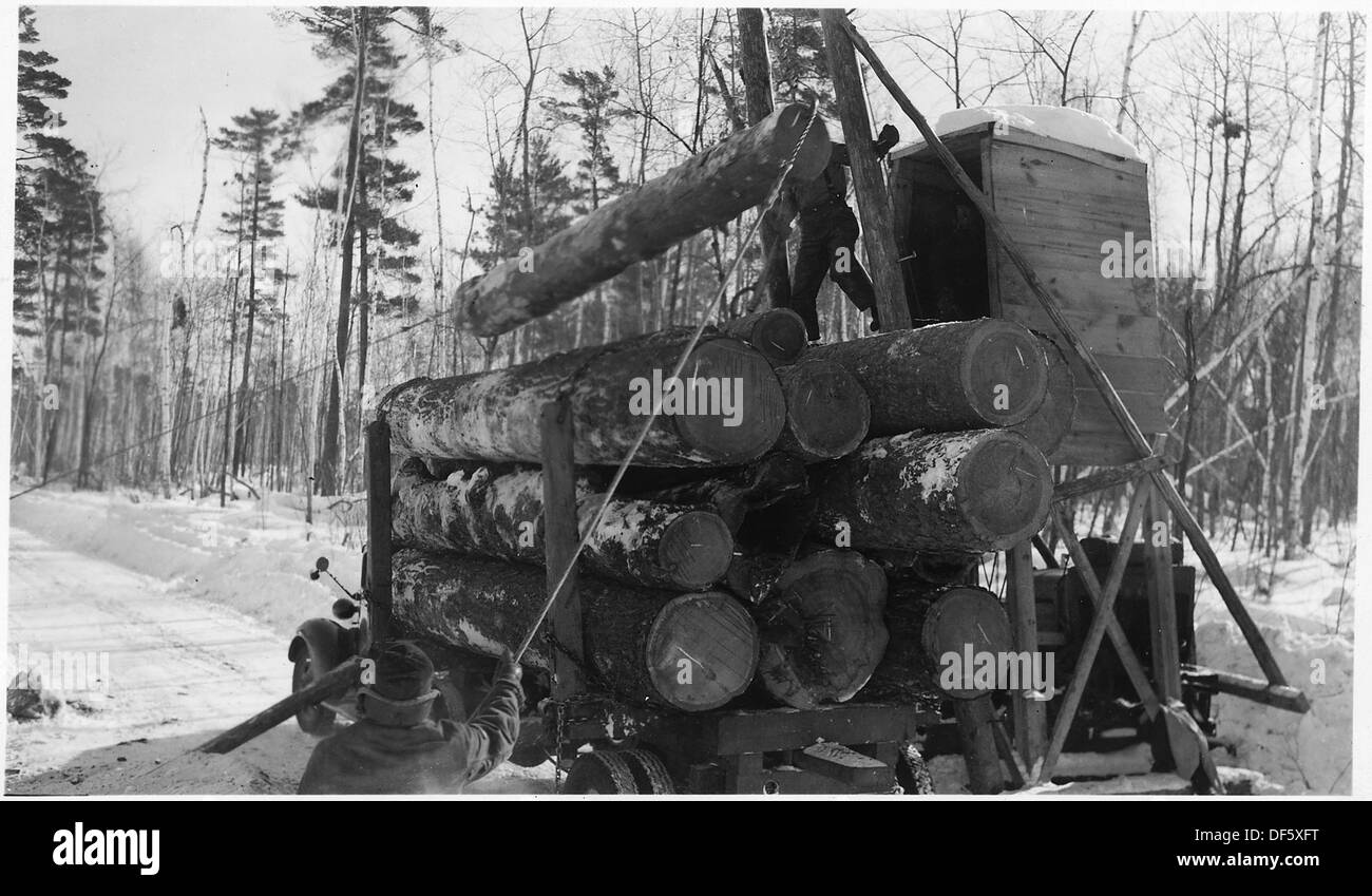 Logging activities 285750 Stock Photo - Alamy