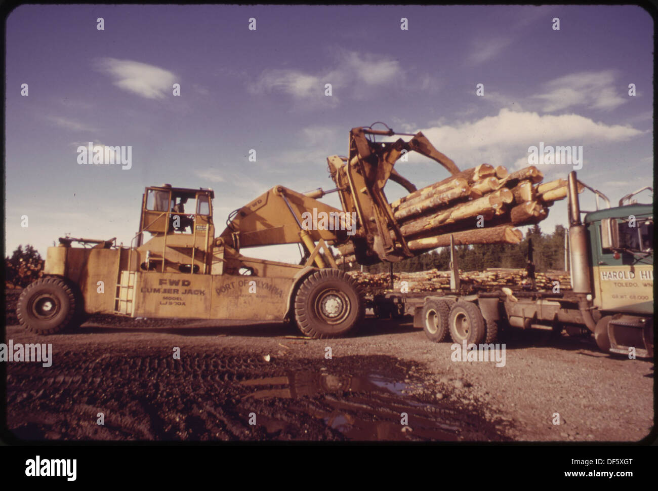 LOG LOADER AT WORK AT PORT OF OLYMPIA'S LOG STORAGE SITE 552202 Stock ...