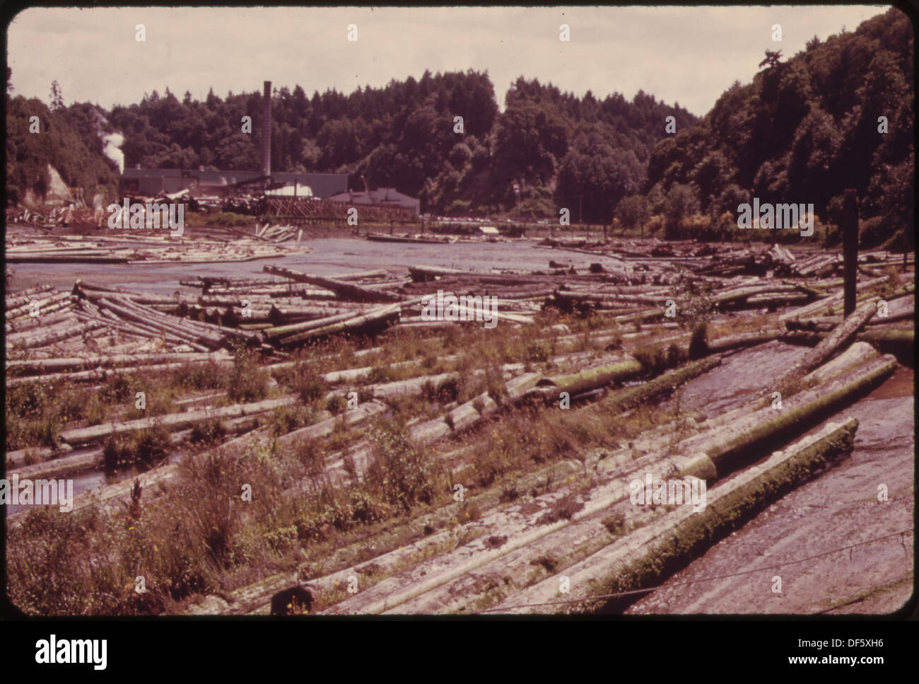 LOG STORAGE IN TIDAL BASIN OF CHAMBERS CREEK. STORING LOGS IN DECKS ON ...