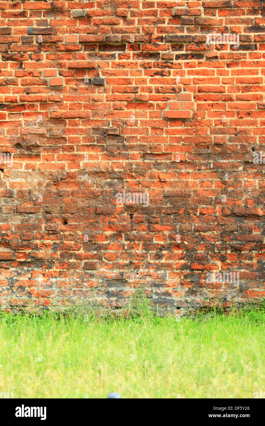 Grungy destroyed background of a red brick wall texture with green ...