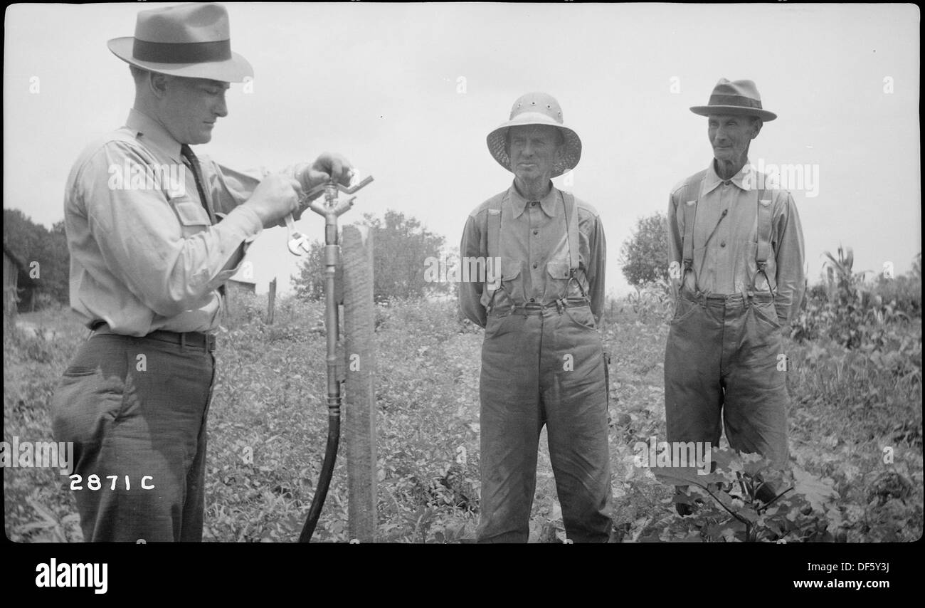 Magill hi-res stock photography and images - Alamy