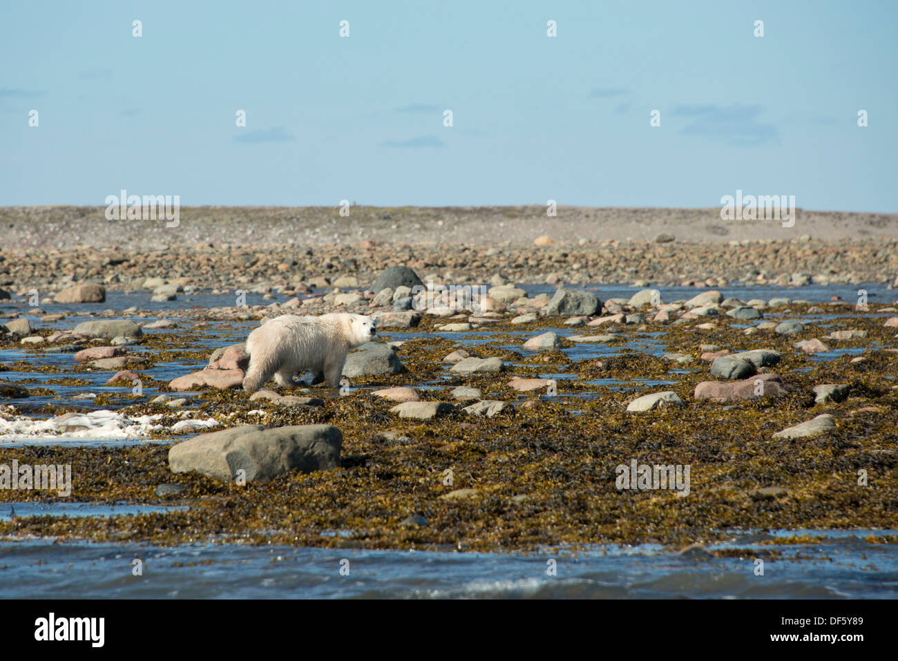 Kivalliq Region Stock Photos & Kivalliq Region Stock Images - Alamy