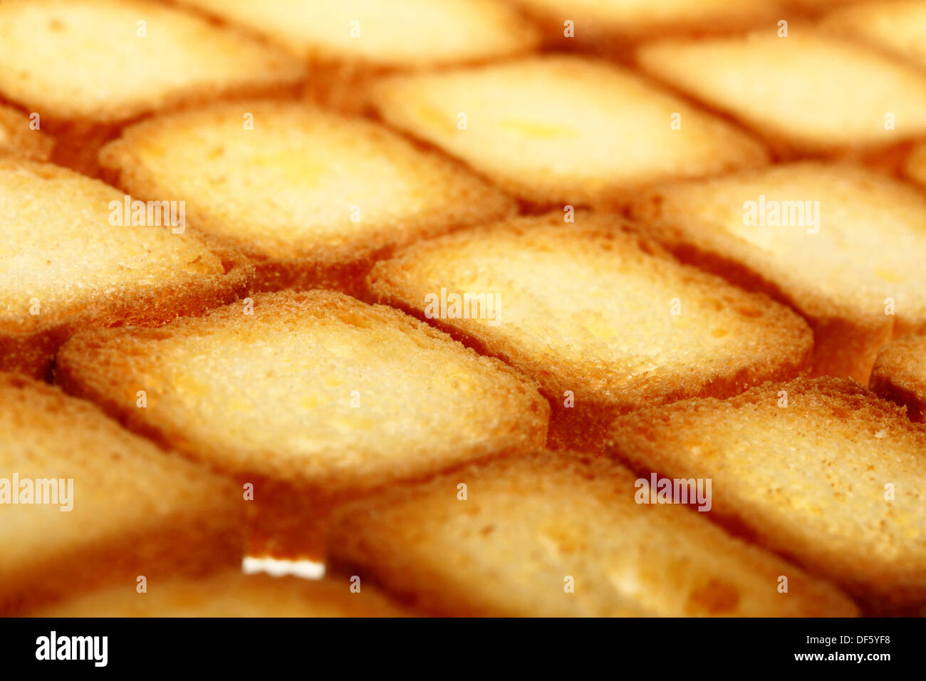 Many small dried rusks bread loaf toast biscuits as texture background ...