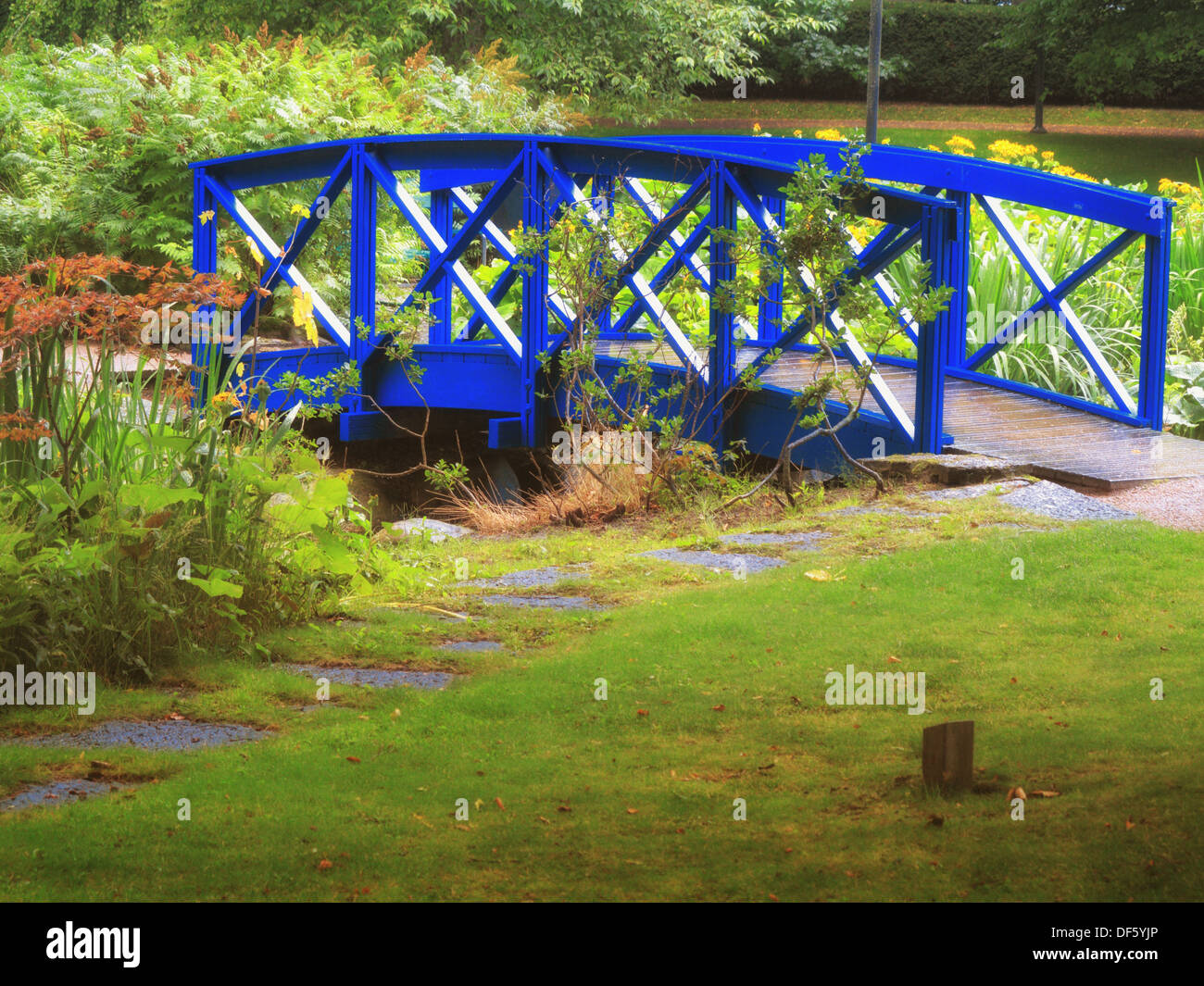 Footbridge. Peaceful little wooden blue bridge in park Stock Photo - Alamy