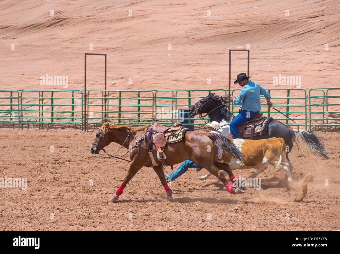Cowboy riding horse rope gallup hi-res stock photography and images - Alamy