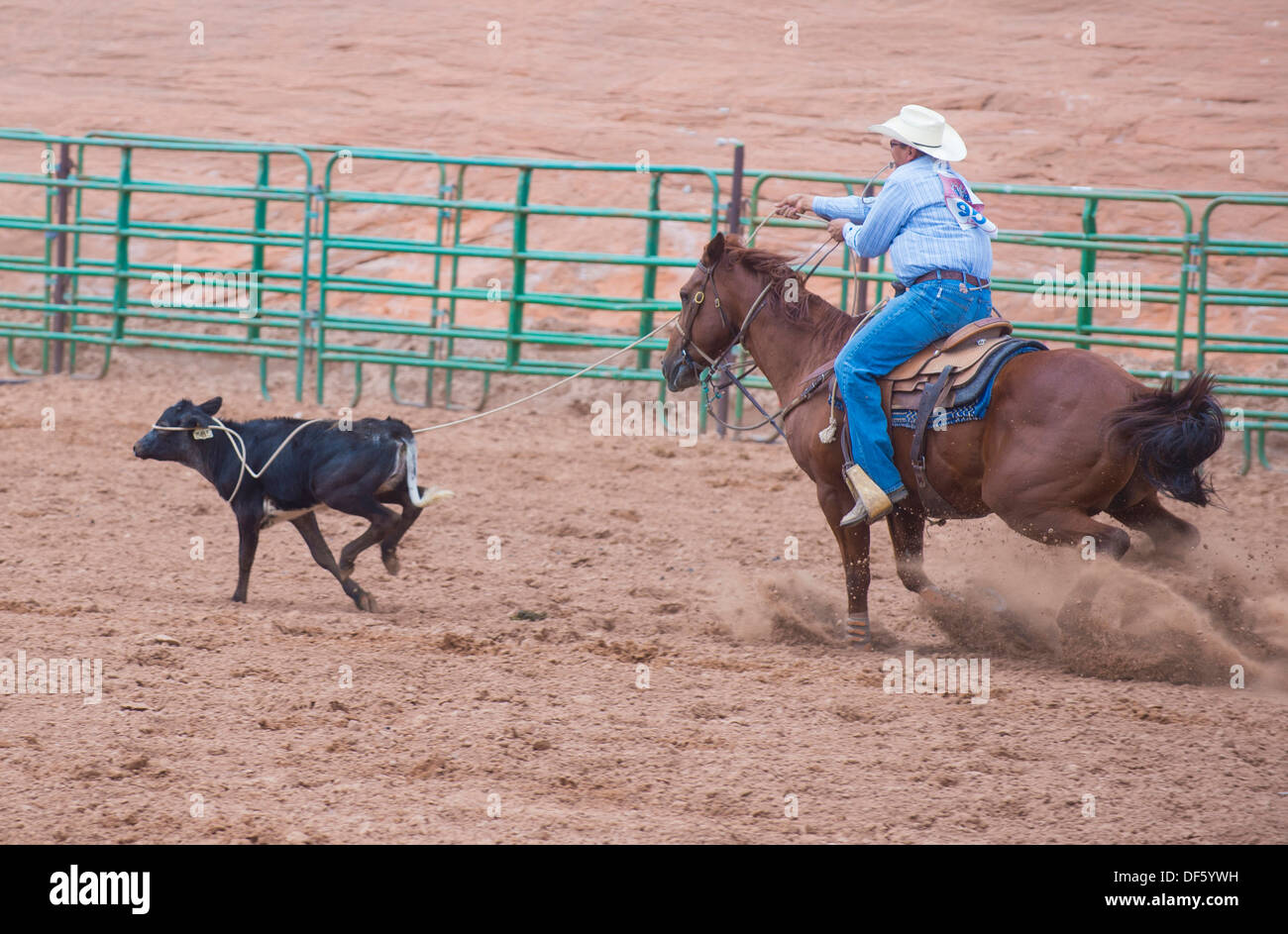 Cowgirl roping hi-res stock photography and images - Alamy