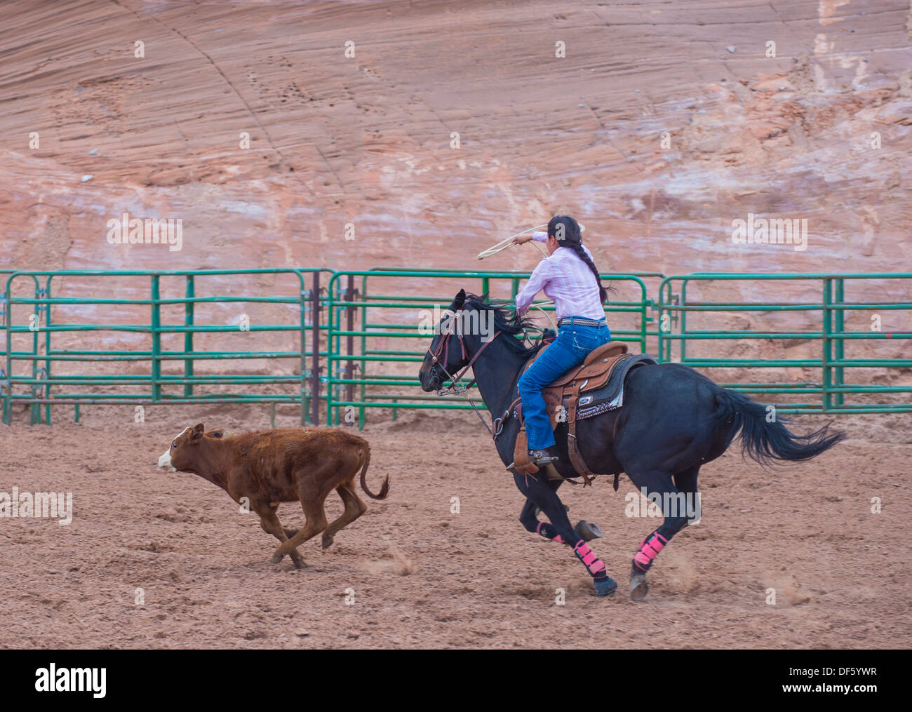Cowgirl roping hi-res stock photography and images - Alamy