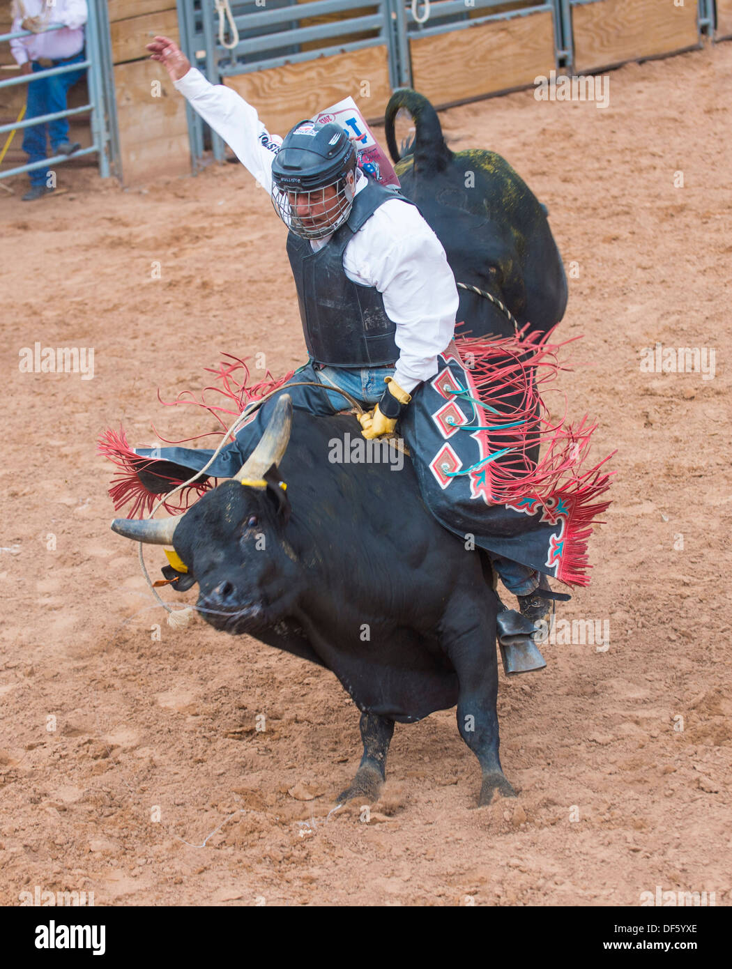Cowboy Participates in a bull riding Competition at the 92nd annual ...