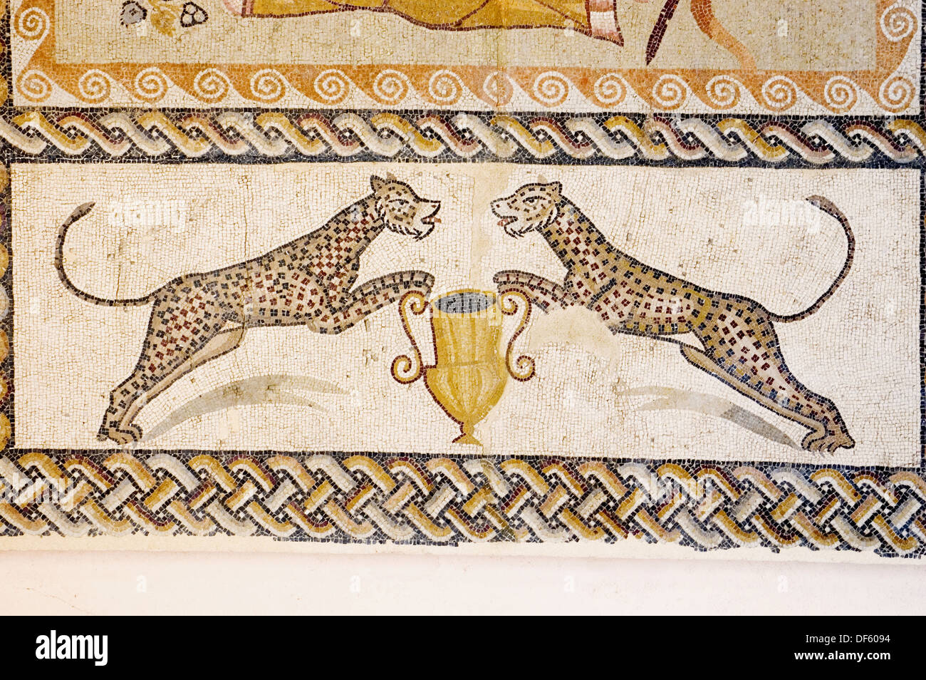 Ancient roman cat mosaic hi-res stock photography and images - Alamy