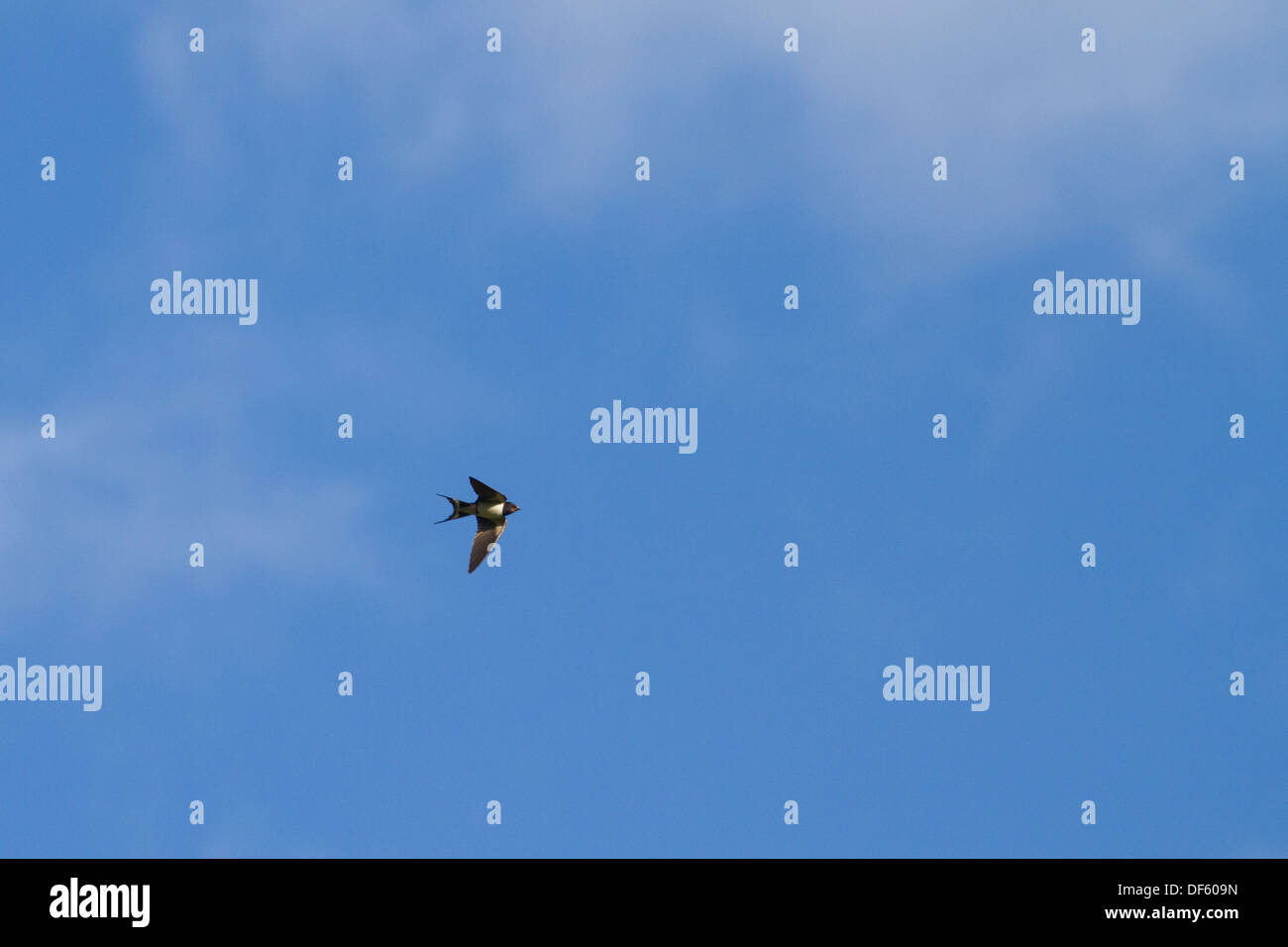 Clowdy hi-res stock photography and images - Alamy