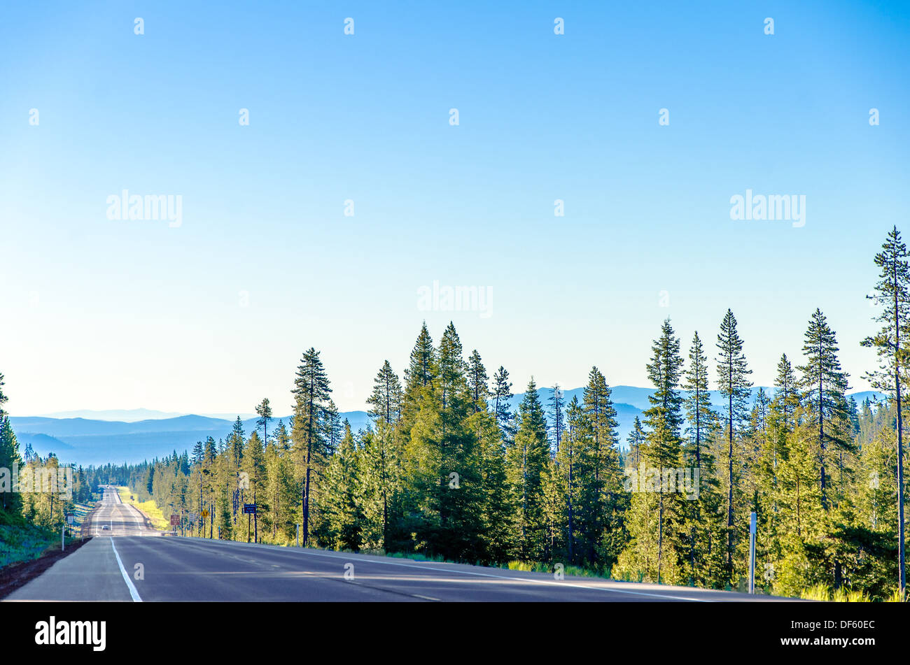 Long scenic highway passing through a lush green forest with blue hills ...