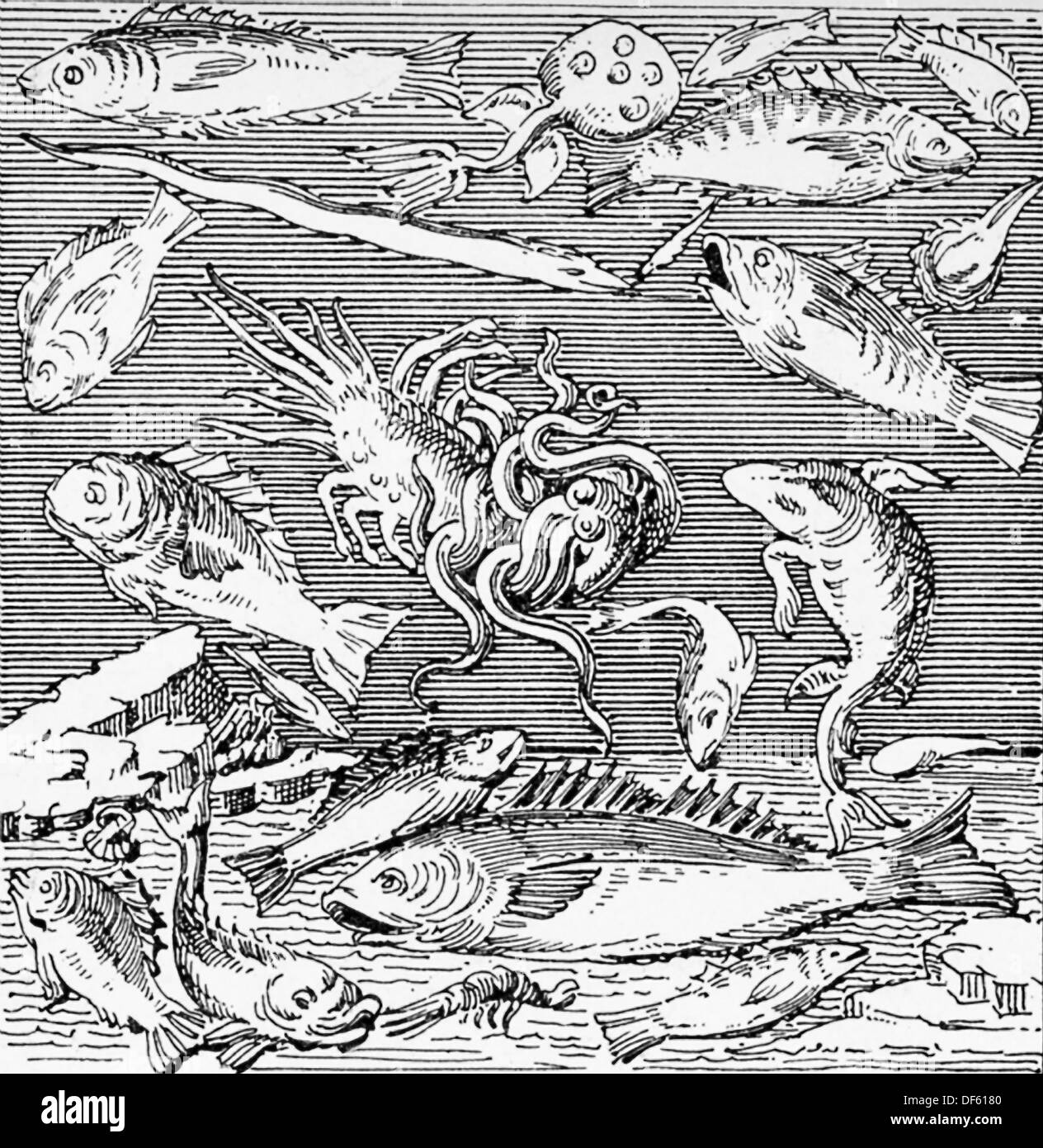 Roman mosaic fish hi-res stock photography and images - Alamy