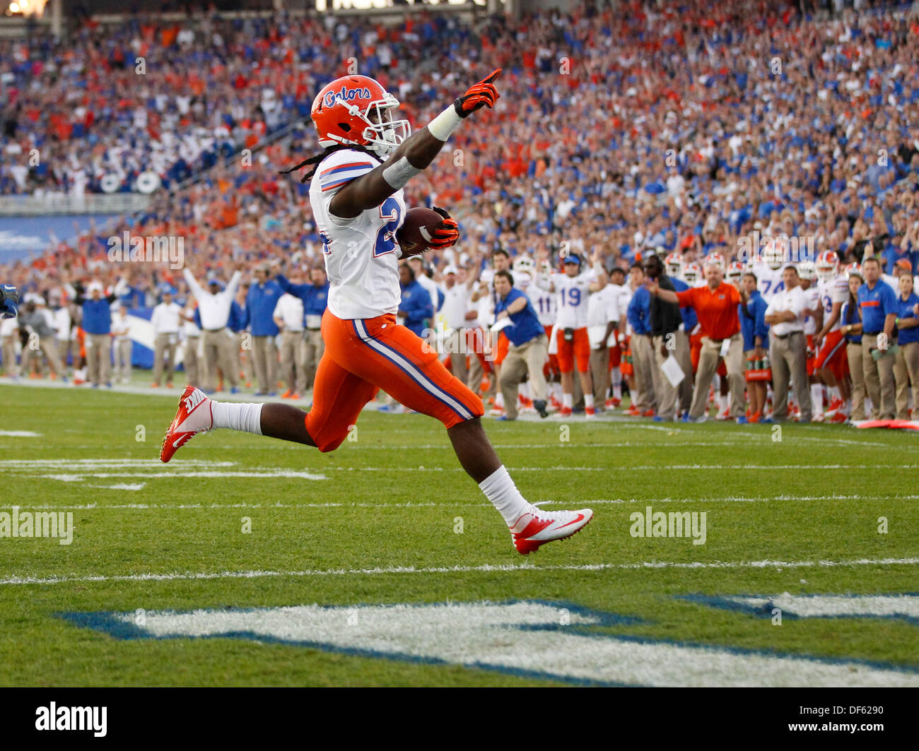 Florida gators photos hi-res stock photography and images - Alamy