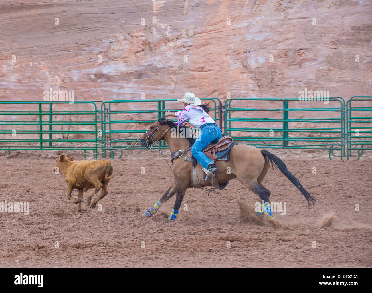 Cowgirl roping hi-res stock photography and images - Alamy