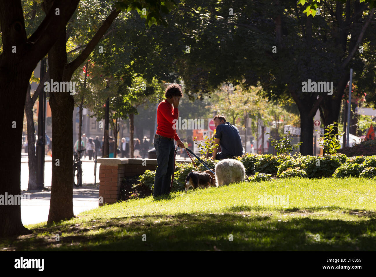 Man talking dog on walk hi-res stock photography and images - Alamy