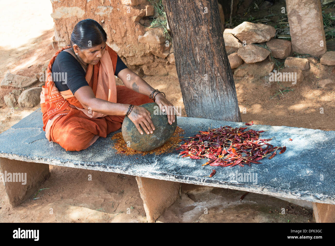 Indian woman crushing dried red chilli to powder with a round stone in ...