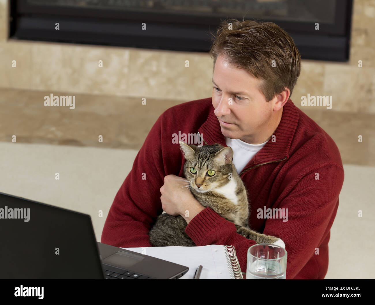 Cat reading internet hi-res stock photography and images - Alamy