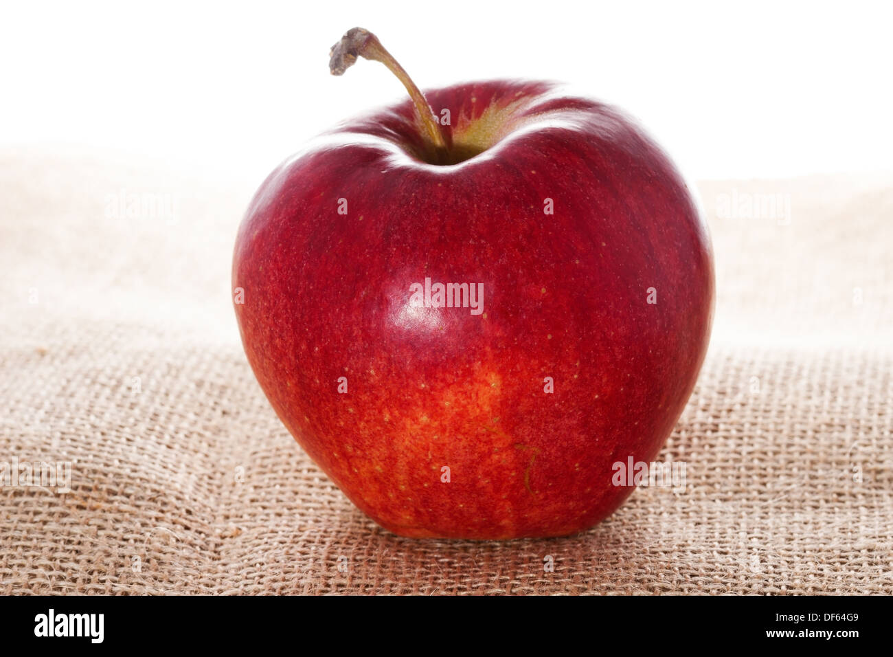 Apple ripe for harvest hi-res stock photography and images - Alamy