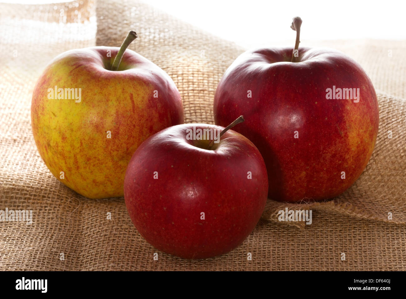 Ripe red apples at hi-res stock photography and images - Alamy