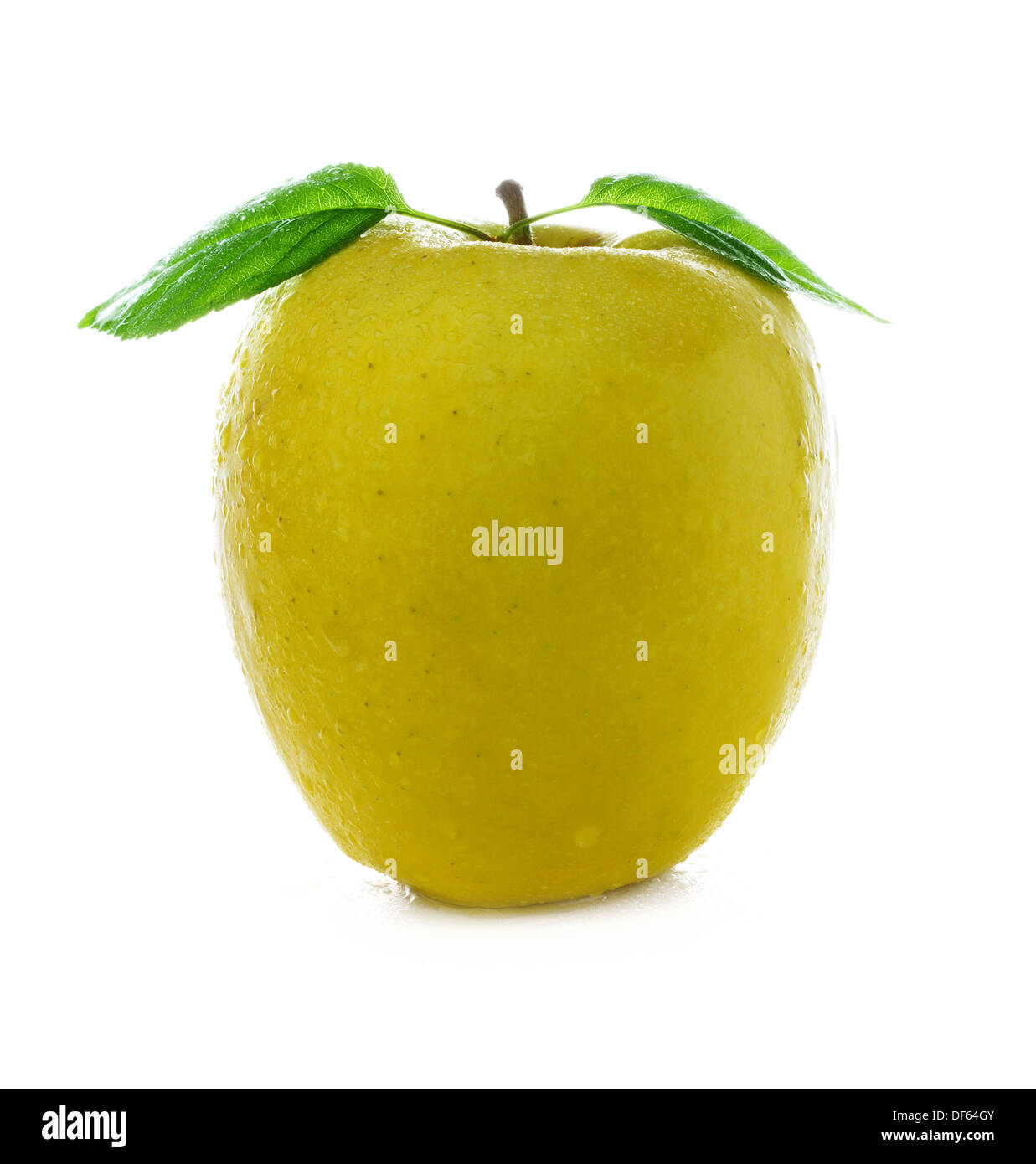 Yellow Apple With Leaf