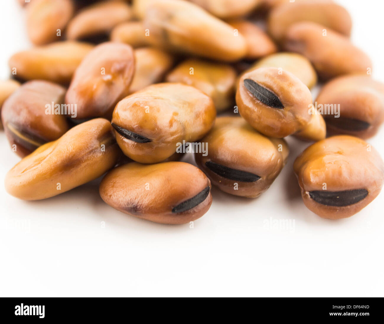 Broad Beans, fava beans isolated on white background Stock Photo - Alamy