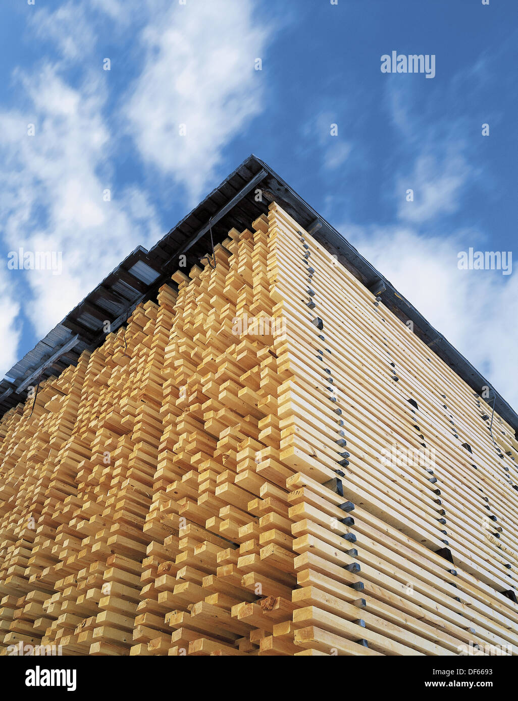 Wood, forest, timber, blue sky, clouds. Västerbotten. Sweden Stock ...