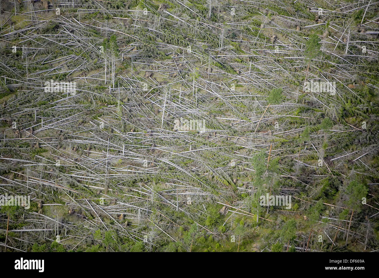 Gudrun hi-res stock photography and images - Alamy