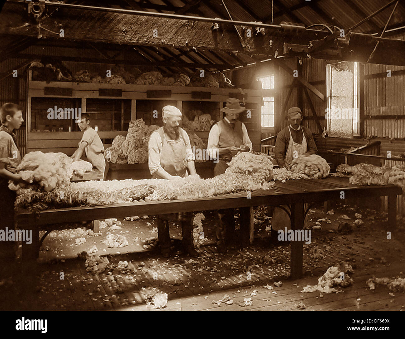 Australia Wool grading shed Victorian period Stock Photo - Alamy